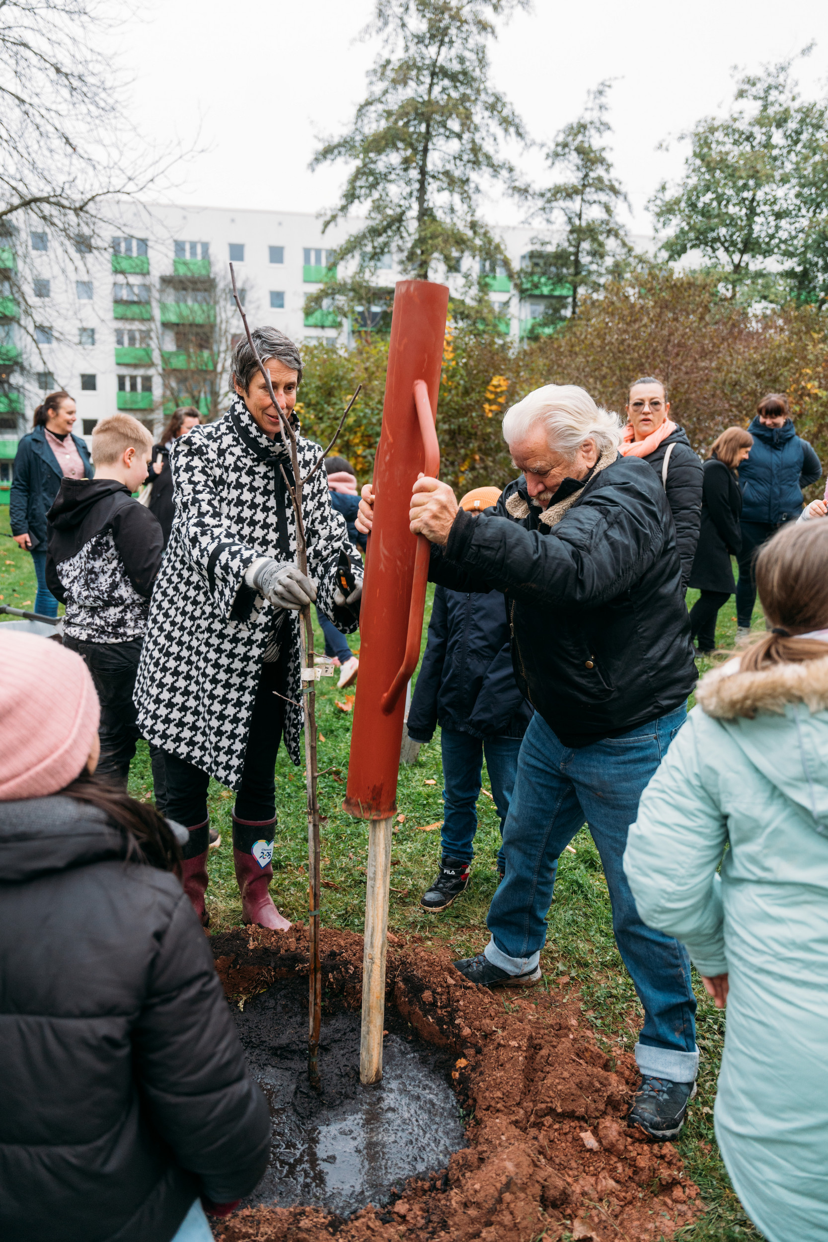 Chemnitz 2025: Pflanzfestival "Stadt und Wald": GELEBTE NACHBARSCHAFT ...