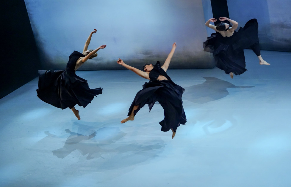 Chemnitz 2025: TANZ | MODERNE | TANZ - Vertigo Dance Company (IL) - MANA