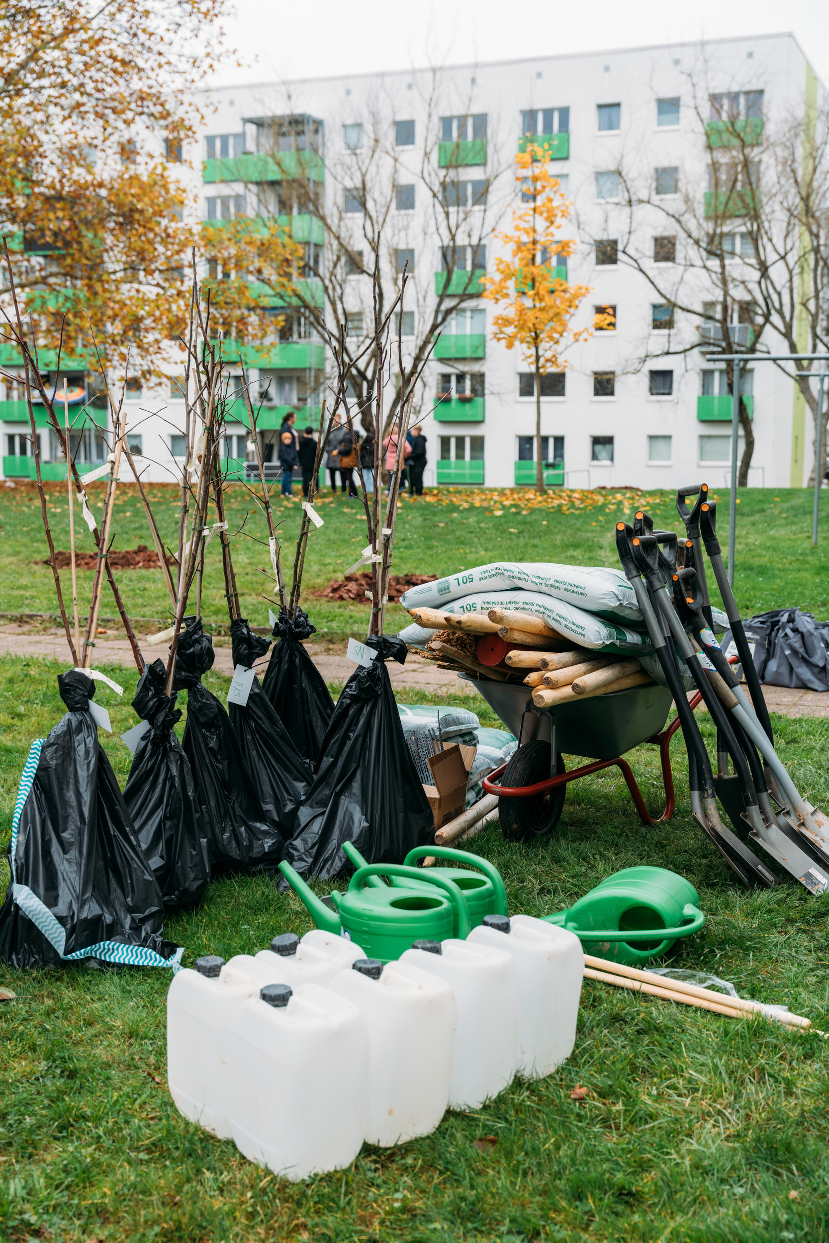 Chemnitz 2025: Pflanzfestival "Stadt und Wald": GELEBTE NACHBARSCHAFT ...